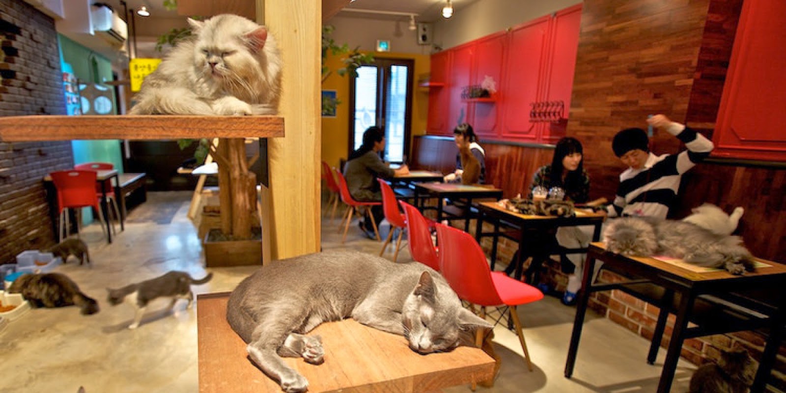 5 Unique and Attractive Cafe Around the World for Gathering - 4Nids