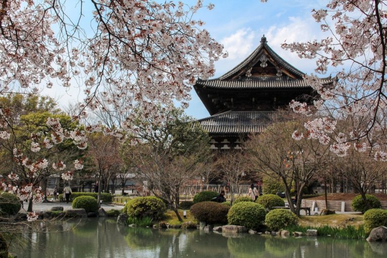 All Uniquness about Japan - Interest Facts You can Find!